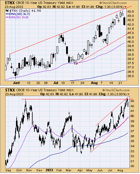 TSP Talk - Stocks rally into Nvidia earnings, which are now out ...