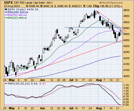 TSP Talk - Stocks rally into Nvidia earnings, which are now out ...